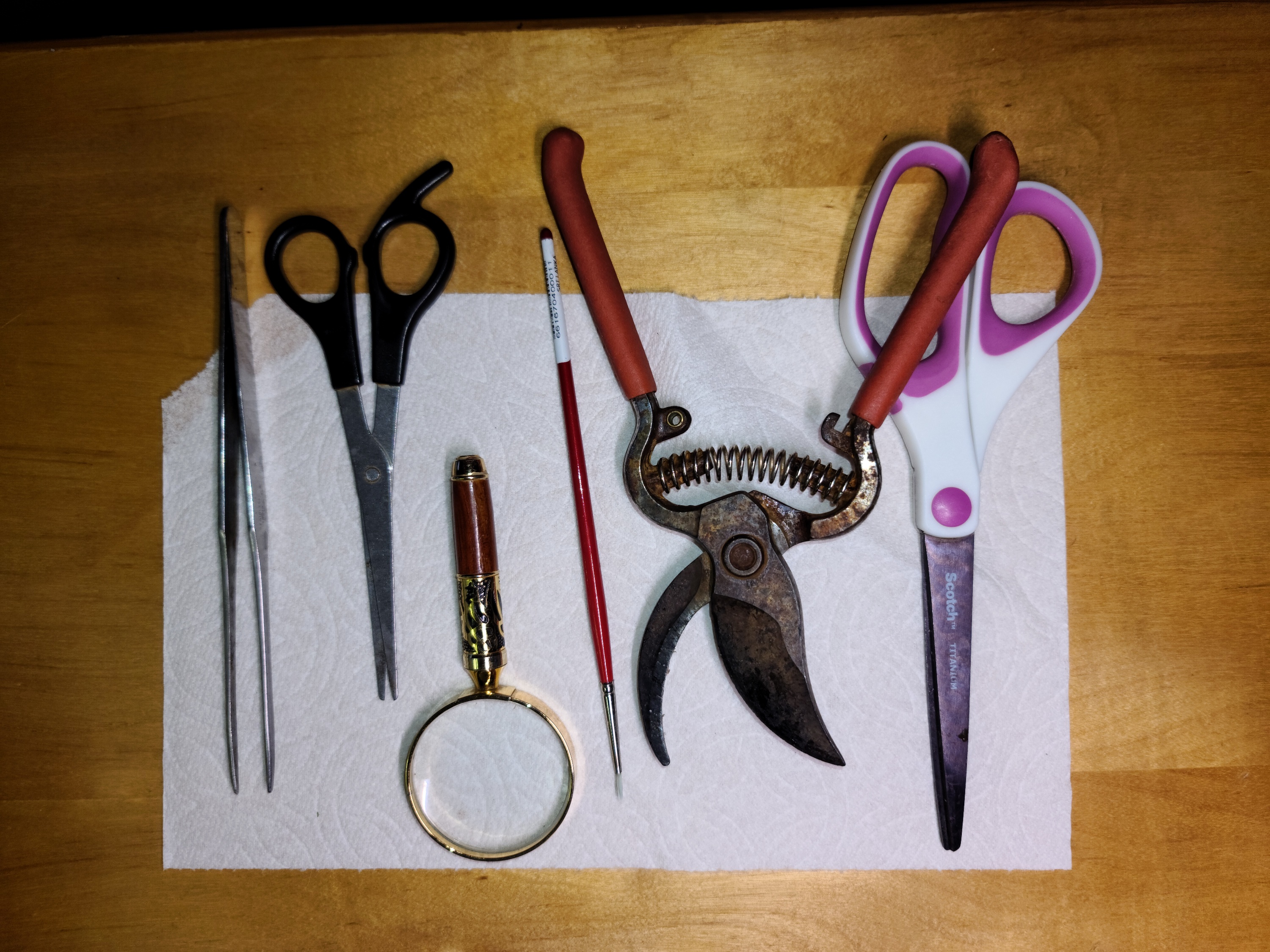 Basic Overview – How to Raise Giant Silk Moths – Butterfly and Moth